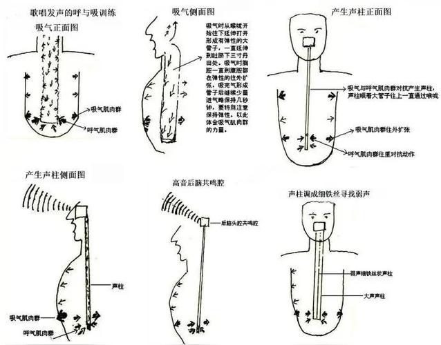 唱高音的技巧和正确发声方法图标