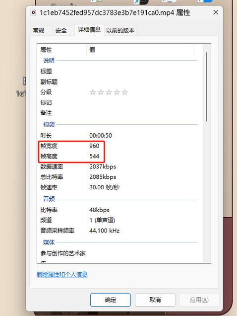 视频导出尺寸1080p是什么意思图标