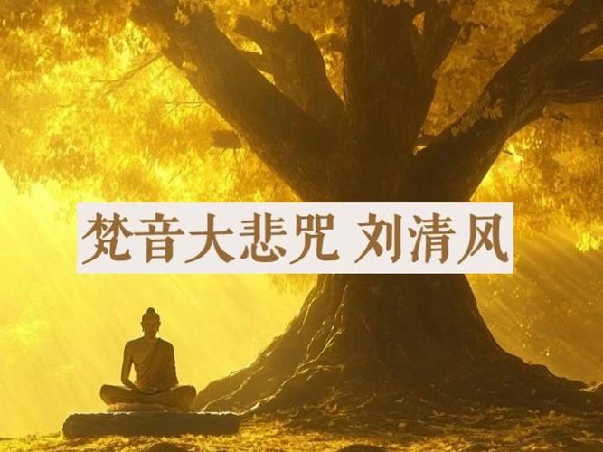 藏传大悲咒唱诵最好听截图