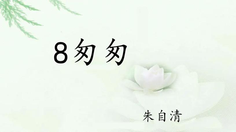 匆匆下载器图标