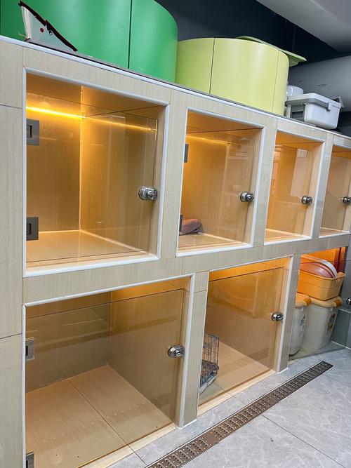 宠物寄养店图标