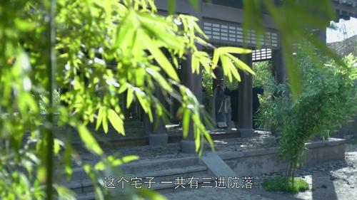 踏上修仙路我是宅子