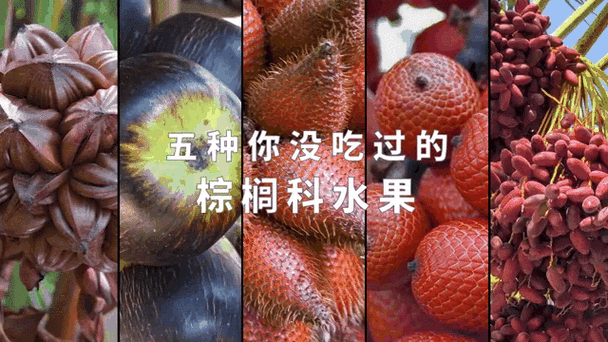 谁买水果动态表情包图片大全图标
