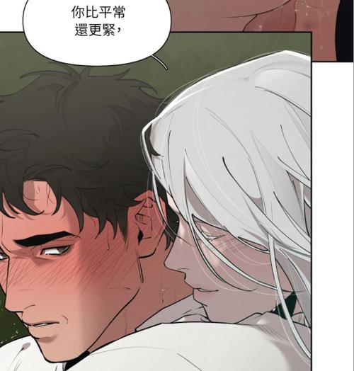 漫画《大公阁下》番外