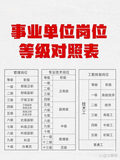 十五级十档职级图标