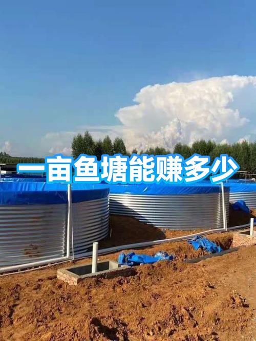 池塘养殖什么最赚钱