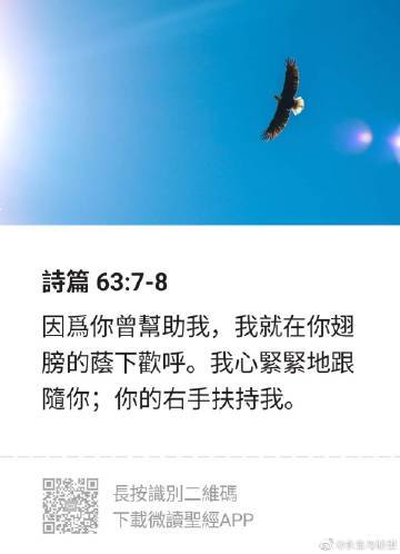 圣经讲章1000题目图标