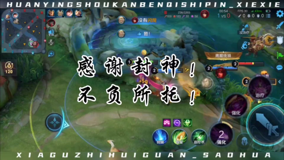 王者荣耀收到皮肤感谢语有哪些图标