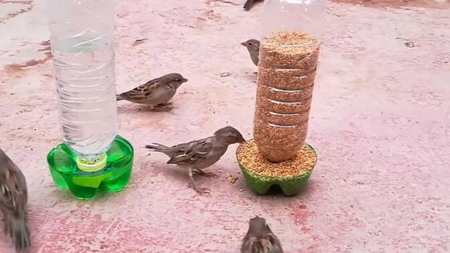 喂鸟器