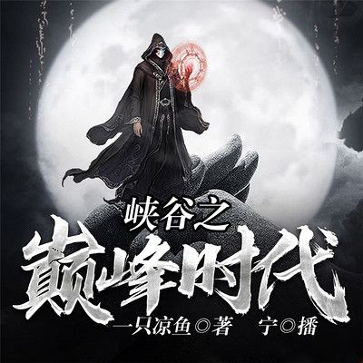 峡谷之巅峰时代图标