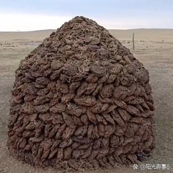 粪堆土耳其图标