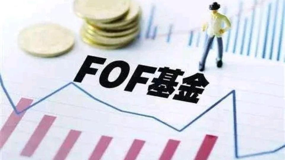 多资产fof图标
