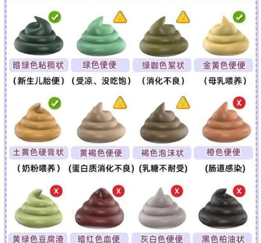 宝宝巴士拉便便视频图标