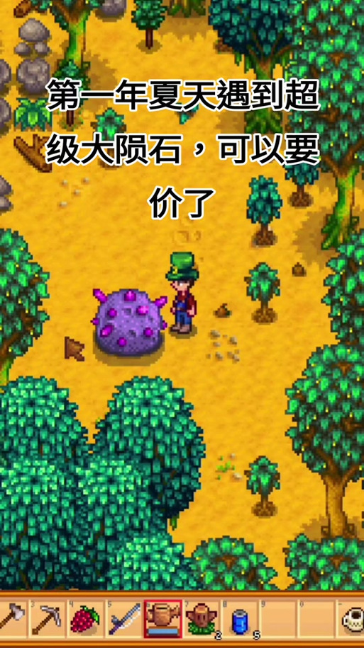 星露谷物语石头哪里买图标