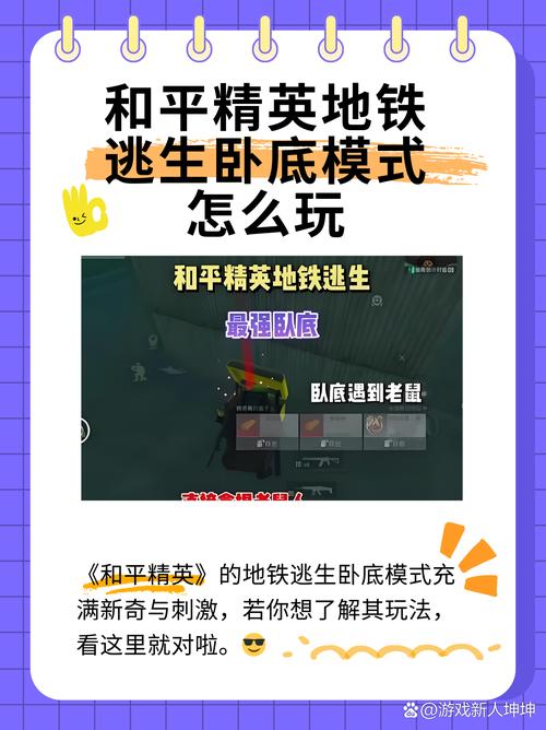 pubg布娃娃系统怎么开图标