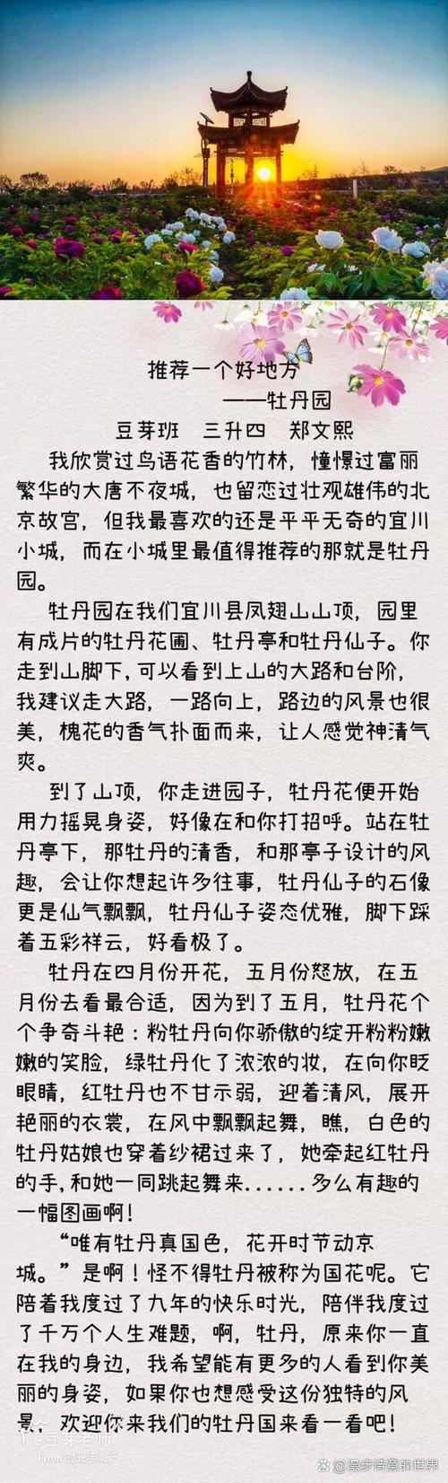 美丽的牡丹园作文500图标
