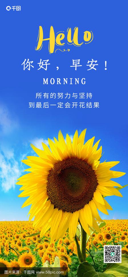 向日葵朋友圈配文截图