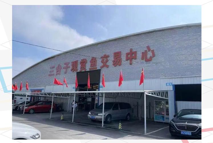 中国最大的观赏鱼市场图标