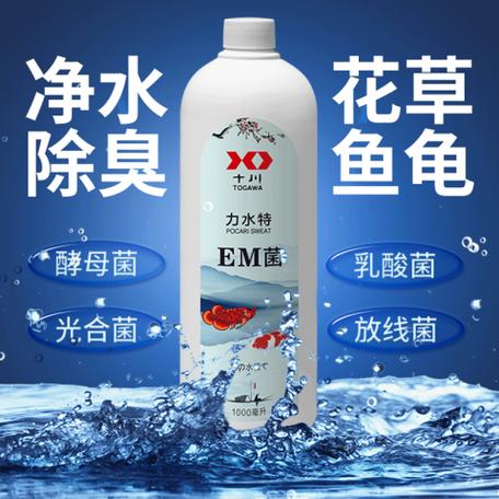 鱼缸里放益生菌图标