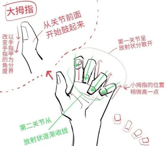 怎样才能让手变好看
