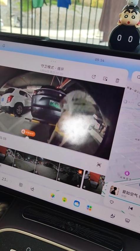 电车哨兵模式拍到小便截图