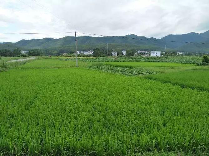 带着荒田回过去图标