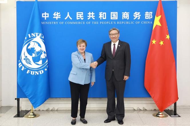 现任国际货币基金总裁是哪国人图标