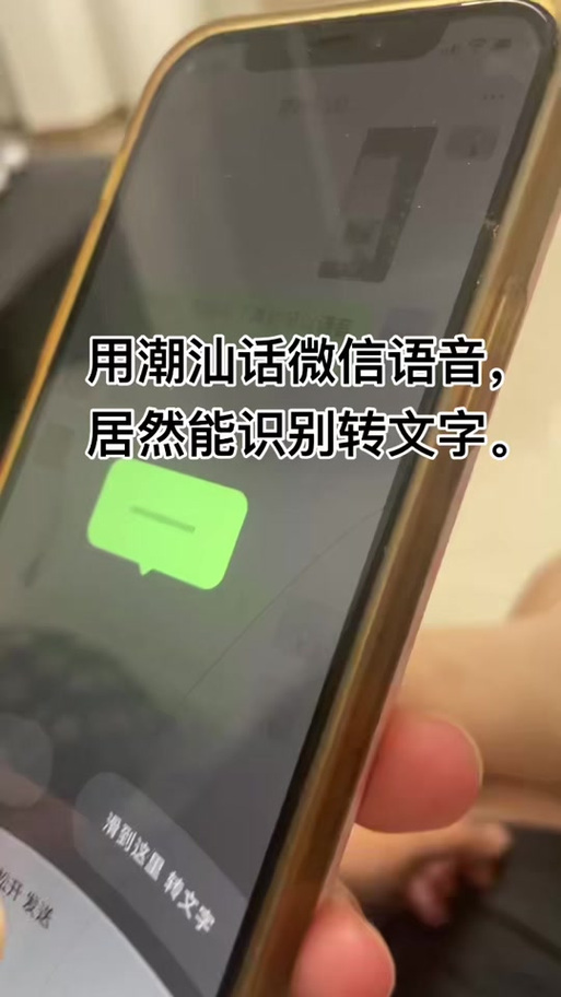 中文转潮州话在线翻译截图