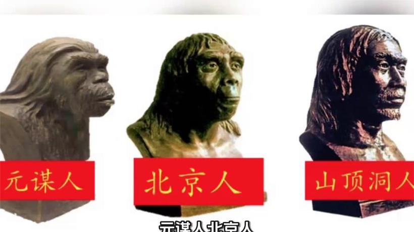 中国人的祖先是谁?图标