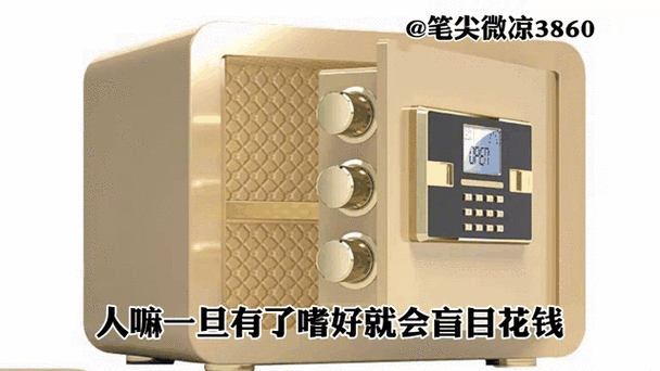 保险箱锁住了需要多久可以解除图标