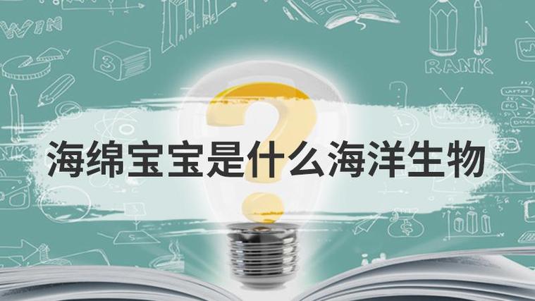 海绵宝宝是什么海洋生物图标