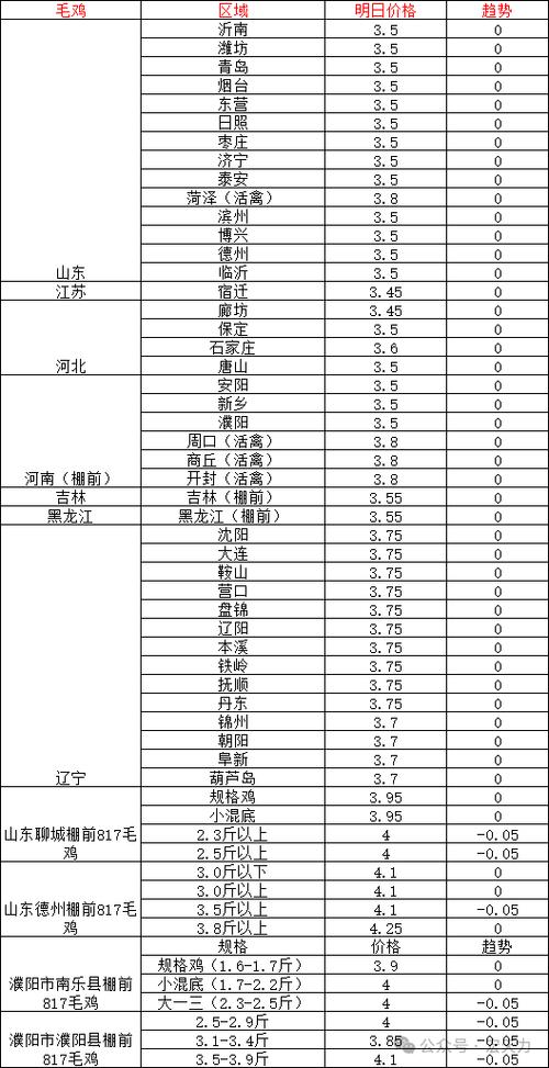 鸡价格 今日价格图标