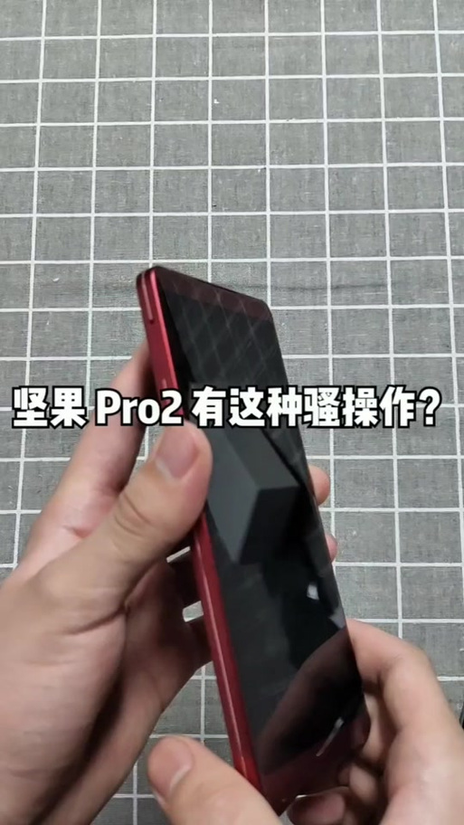 坚果pro救砖教程图标