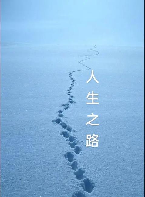 人生漫长路老李璐璐图标