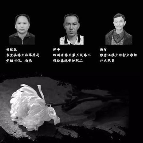 神6牺牲人员名单图标
