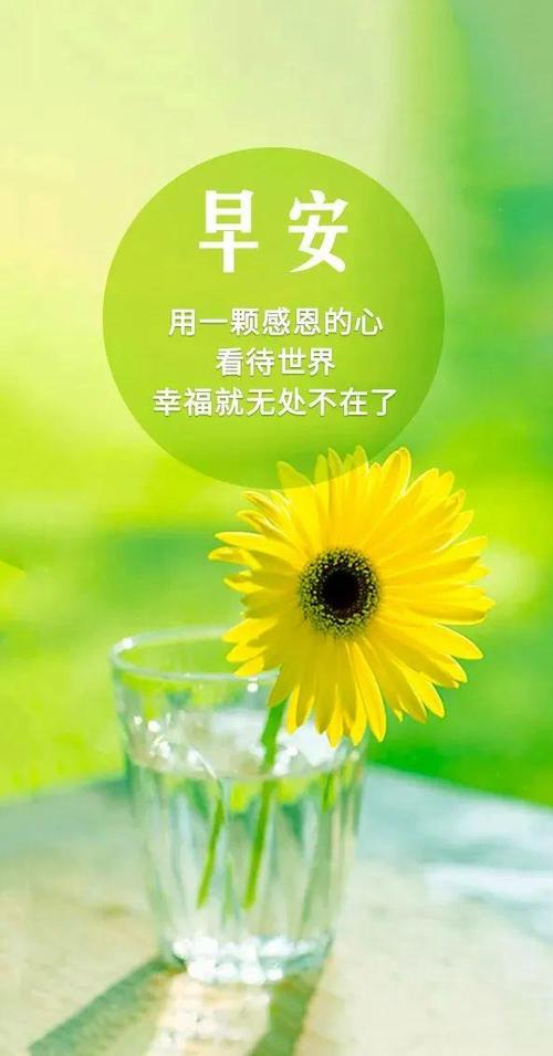 早安励志正能量的文案截图