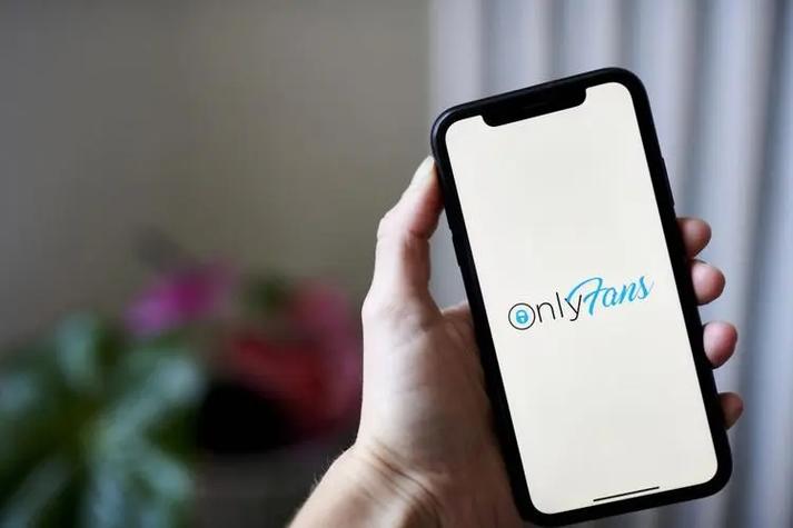 onlyfans在中国能用吗图标