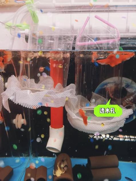 自制鱼缸隔离盒 教程图标