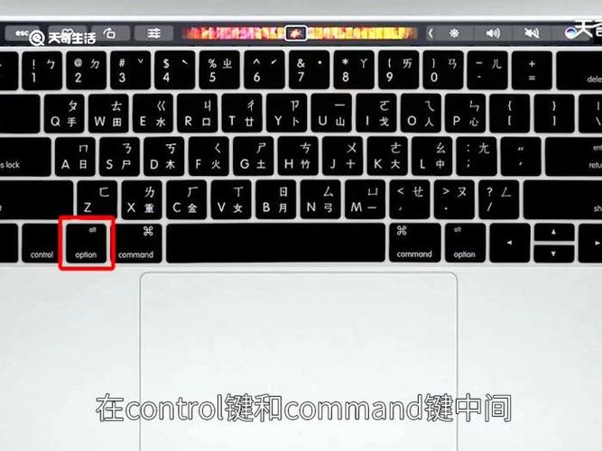 macpro中英文切换键截图
