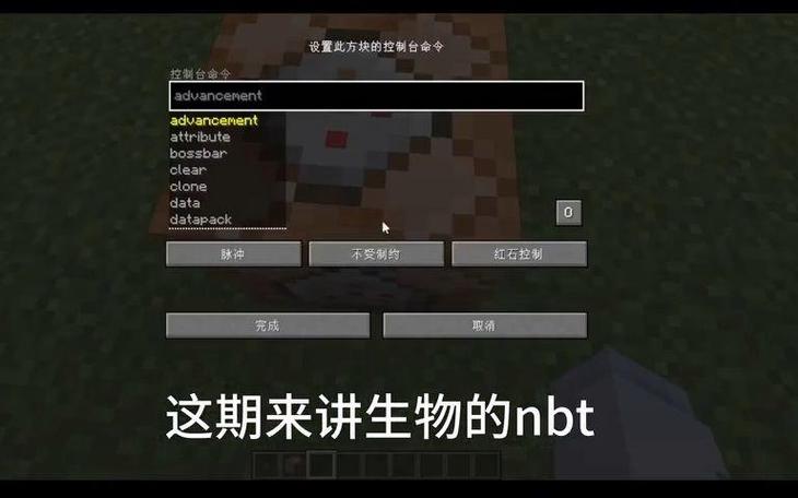 我的世界NBT标签指令截图