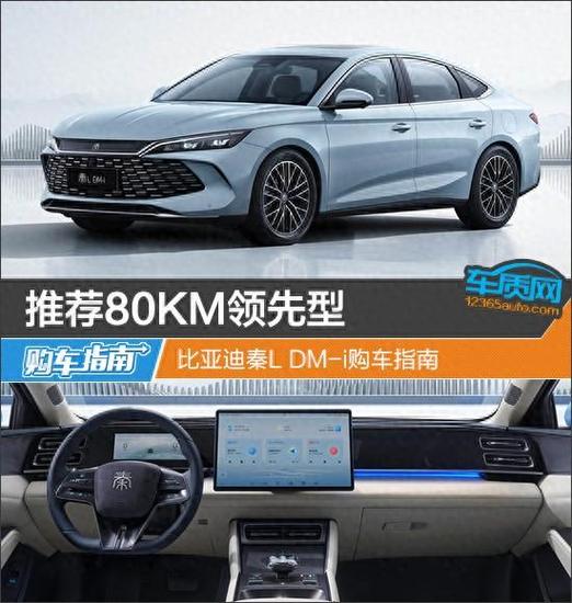 比亚迪秦l是什么车型图标