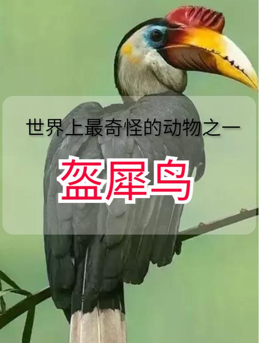 奇怪世界图标