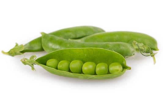 豌豆荚豆荚下载图标