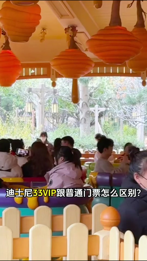 上海迪士尼烟花vip座位图标