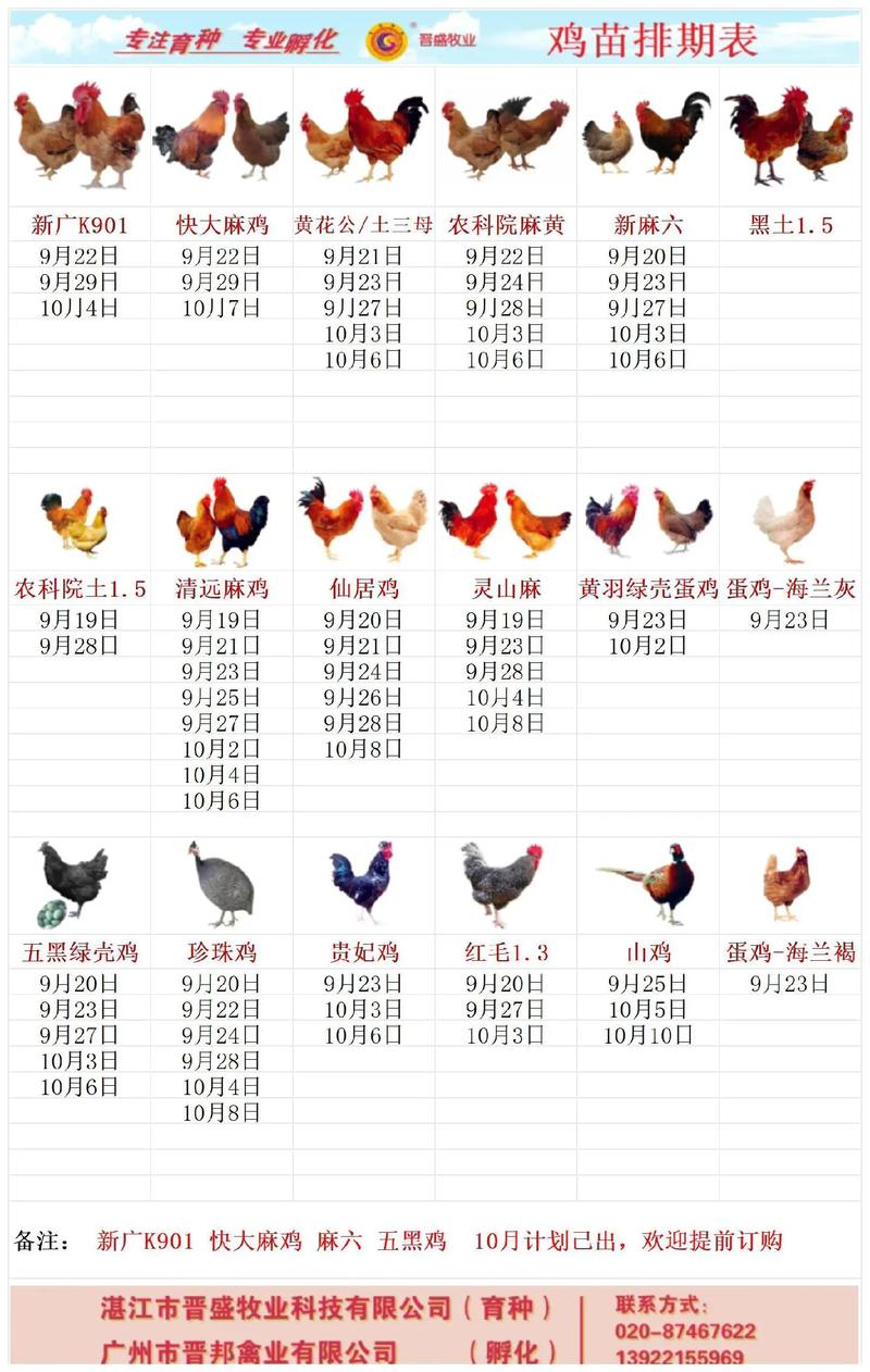 养鸡一年赚多少钱图标