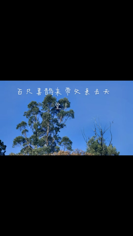 引路天堂图标