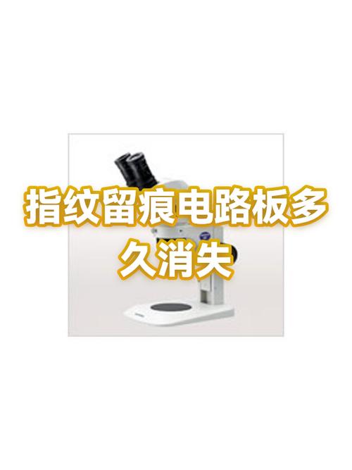 指纹的消失时间截图