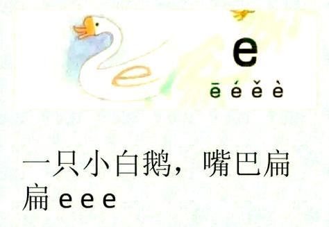 它们的拼音图标