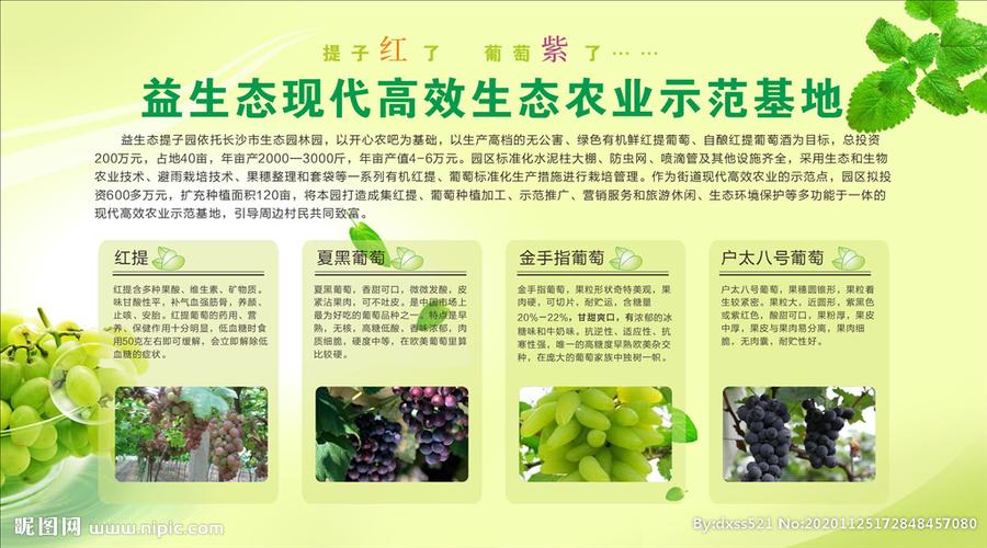 生态果园简介图标