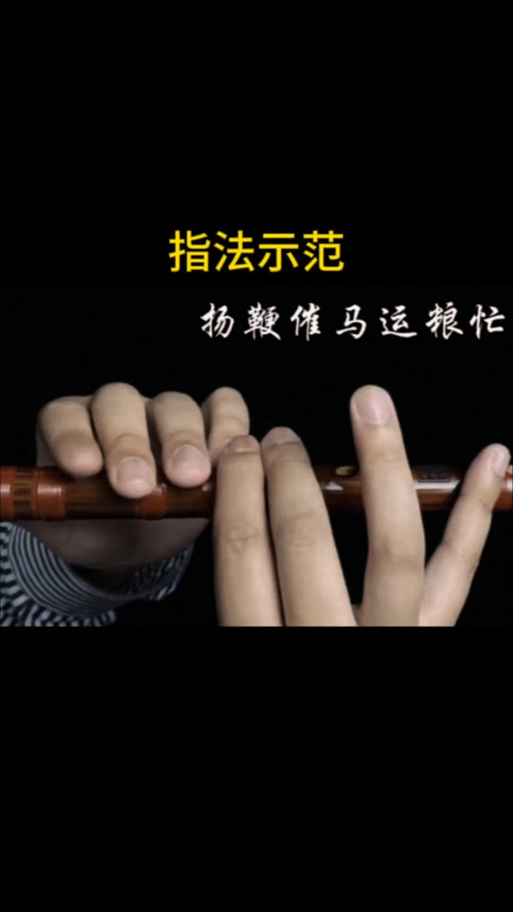 笛子教学视频全集免费图标